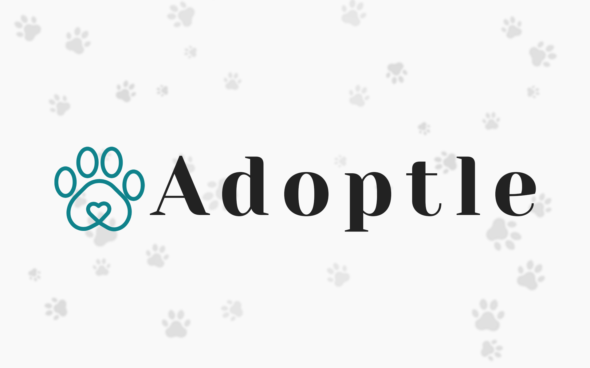 ADOPTLE Guess An Adoptable Animal s Name Fall In Love Play Now ADOPTLE Guess An Adoptable Animal s Name Fall In Love Play Now